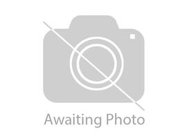 Pet Trained Golden Retriever (ravenkeeper) in Rotherham S63 on Freeads ...