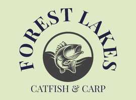 Grand Opening Forest Lakes Fishing In Kent | in Ashford, Kent | Freeads