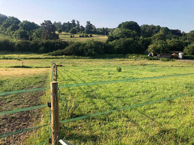 Grass Livery Available Between Farnham And Bordon | in Frensham, Surrey ...