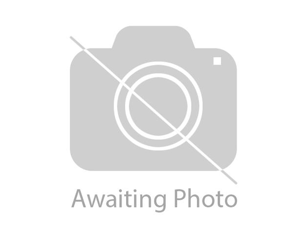 Cockapoo Wants A Fun Loving Home in Cannock WS11 on Freeads Classifieds ...